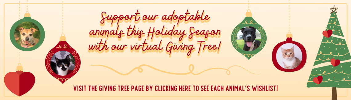 Butte Humane Society – Saving Lives. Finding Homes. Inspiring Compassion.