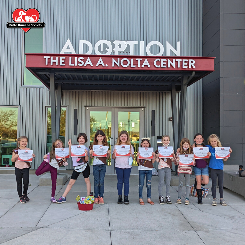 Girl Scouts Read to Cats!