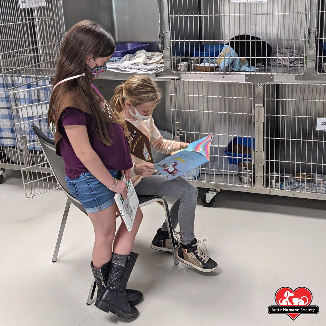 Girl Scouts Read to Cats!