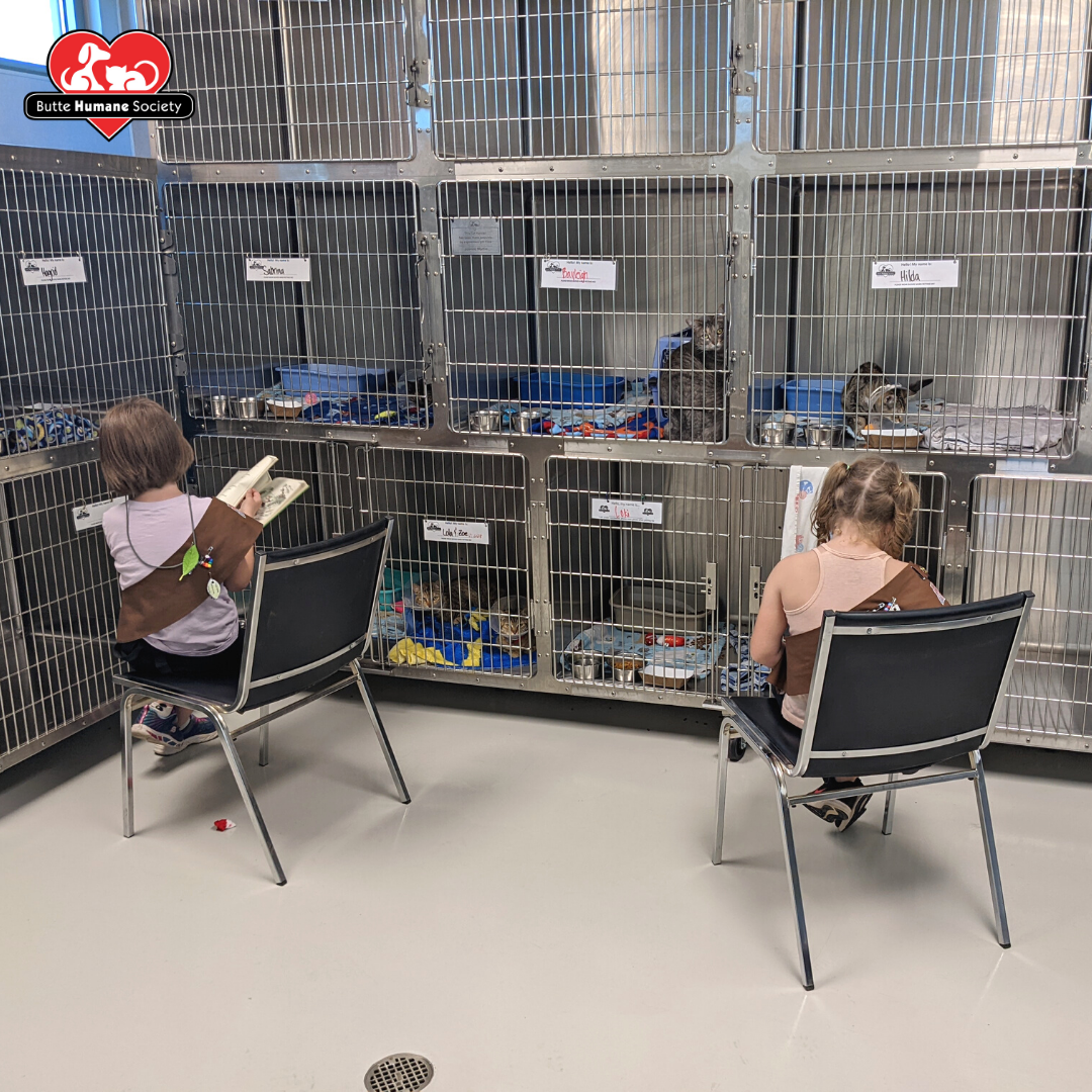 Girl Scouts Read to Cats!